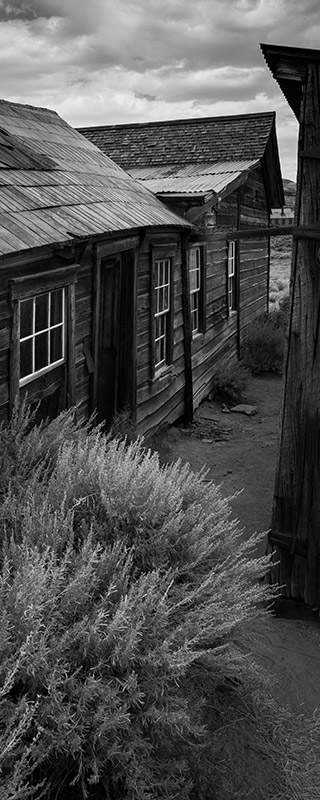 Photography portfolio | Brandon Falls Photography