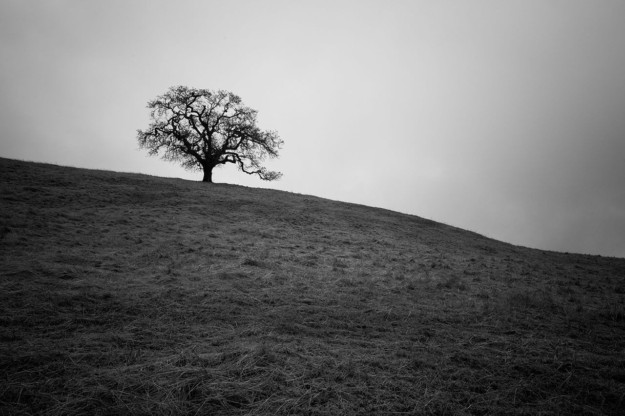 Brandon Falls Photography | Chromecast-featured photographer