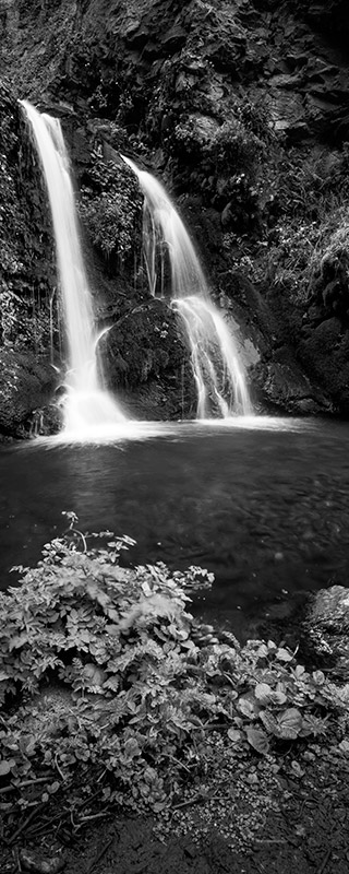 Photography portfolio | Brandon Falls Photography